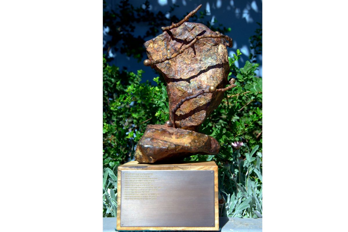 Absa Cape Epic | A special trophy for a special(ized) team